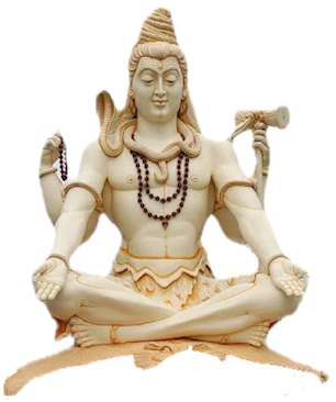 Sri Aranea - Empowering Businesses with Technology